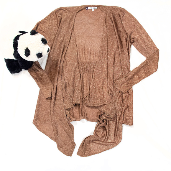 Jennifer Lopez | Jackets & Coats | Sparkle Bronze Sheer Jennifer Lopez ...